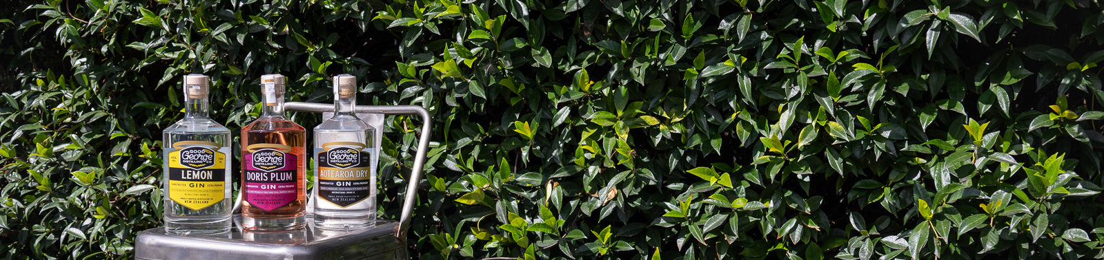 Shop Premium Handcrafted Gin Online | Good George Brewing NZ